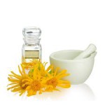 El Cártamo o falso azafrán. | ECOGARDENIRISANA